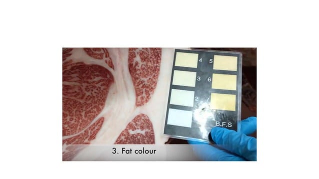 Grading judging and fabrication of meat carcass | PPTX | Agriculture ...