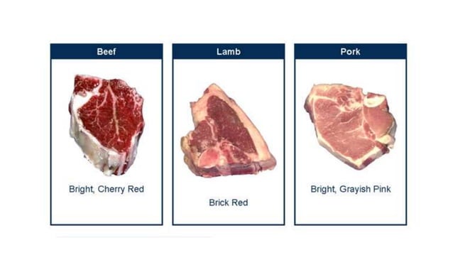 Grading judging and fabrication of meat carcass | PPTX | Agriculture ...
