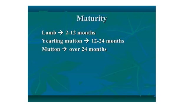 Grading judging and fabrication of meat carcass | PPTX | Agriculture ...
