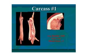 Grading judging and fabrication of meat carcass | PPTX