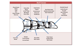 Grading judging and fabrication of meat carcass | PPTX