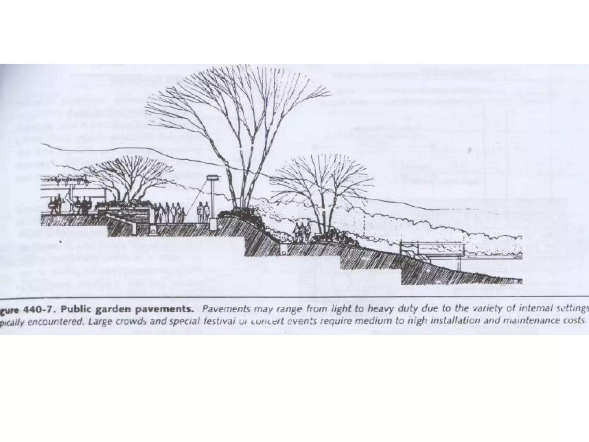 landscape Grading | PPTX