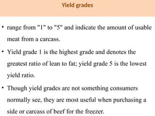 Grading of meat lecture notrs at uci.pptx
