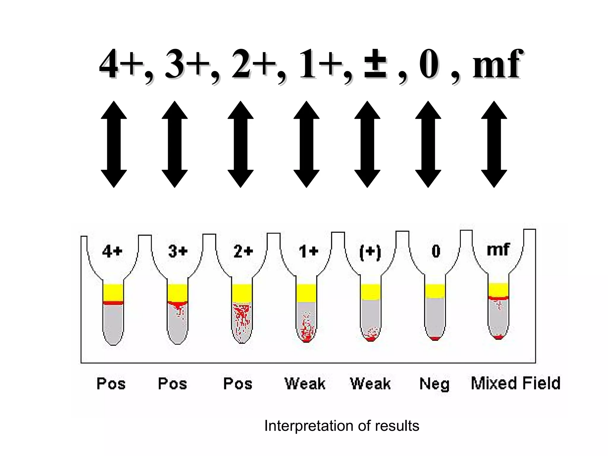 Grading of Reactions.pdf