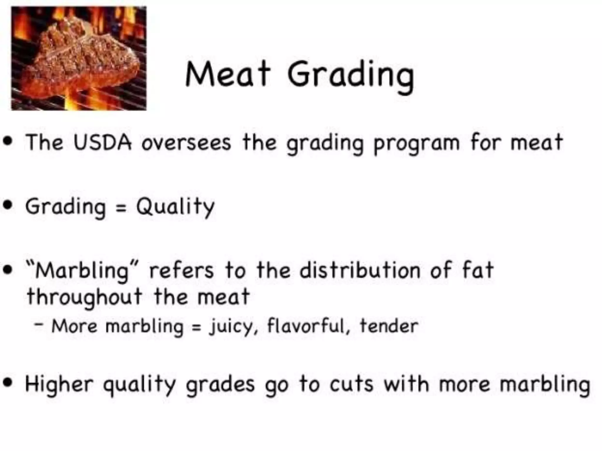 Grading, quality and standardization of meat. Group 2.pptx