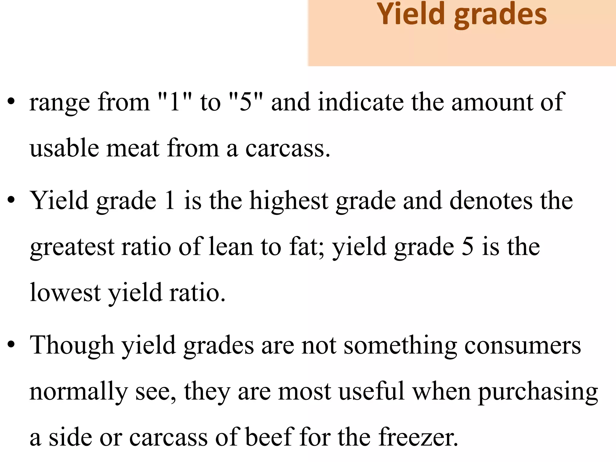 Grading, quality and standardization of meat. Group 2.pptx