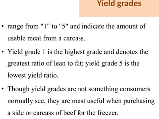 Grading, quality and standardization of meat. Group 2.pptx