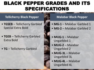 Grading Specifications of Five Major Spices | PPTX