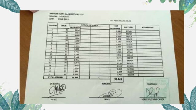 DIDAH JUBAIDAH Grading telur DI HATCHERY | PPT