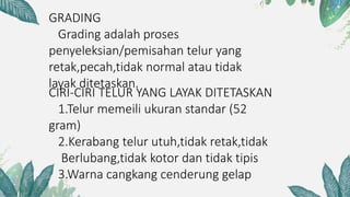 DIDAH JUBAIDAH Grading telur DI HATCHERY | PPT