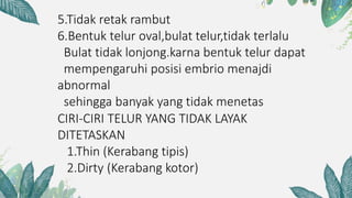 DIDAH JUBAIDAH Grading telur DI HATCHERY | PPT