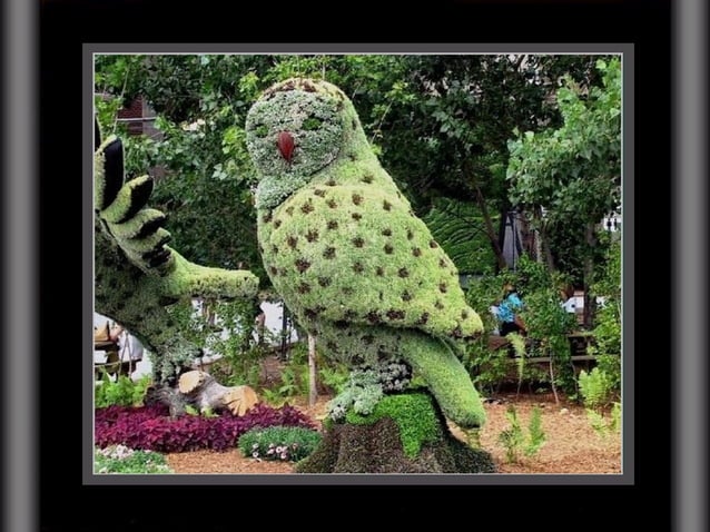 Gradinile din Montreal | PPS