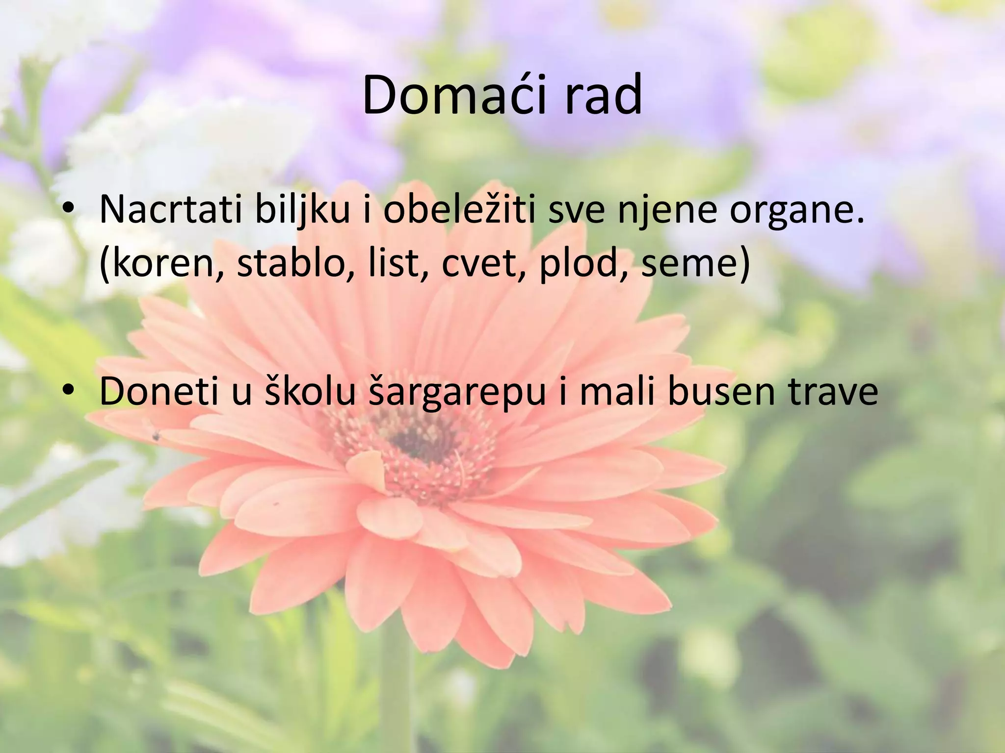 Gradja biljaka | PPTX