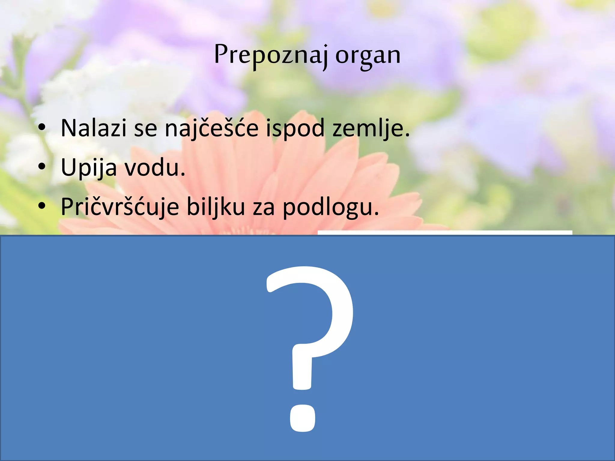 Gradja biljaka | PPTX