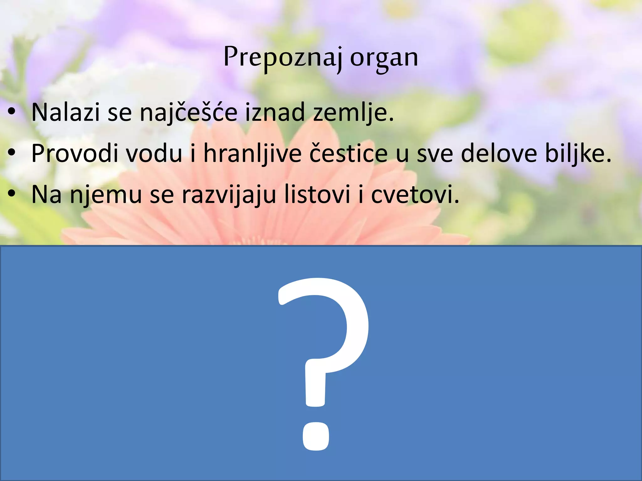 Gradja biljaka | PPTX