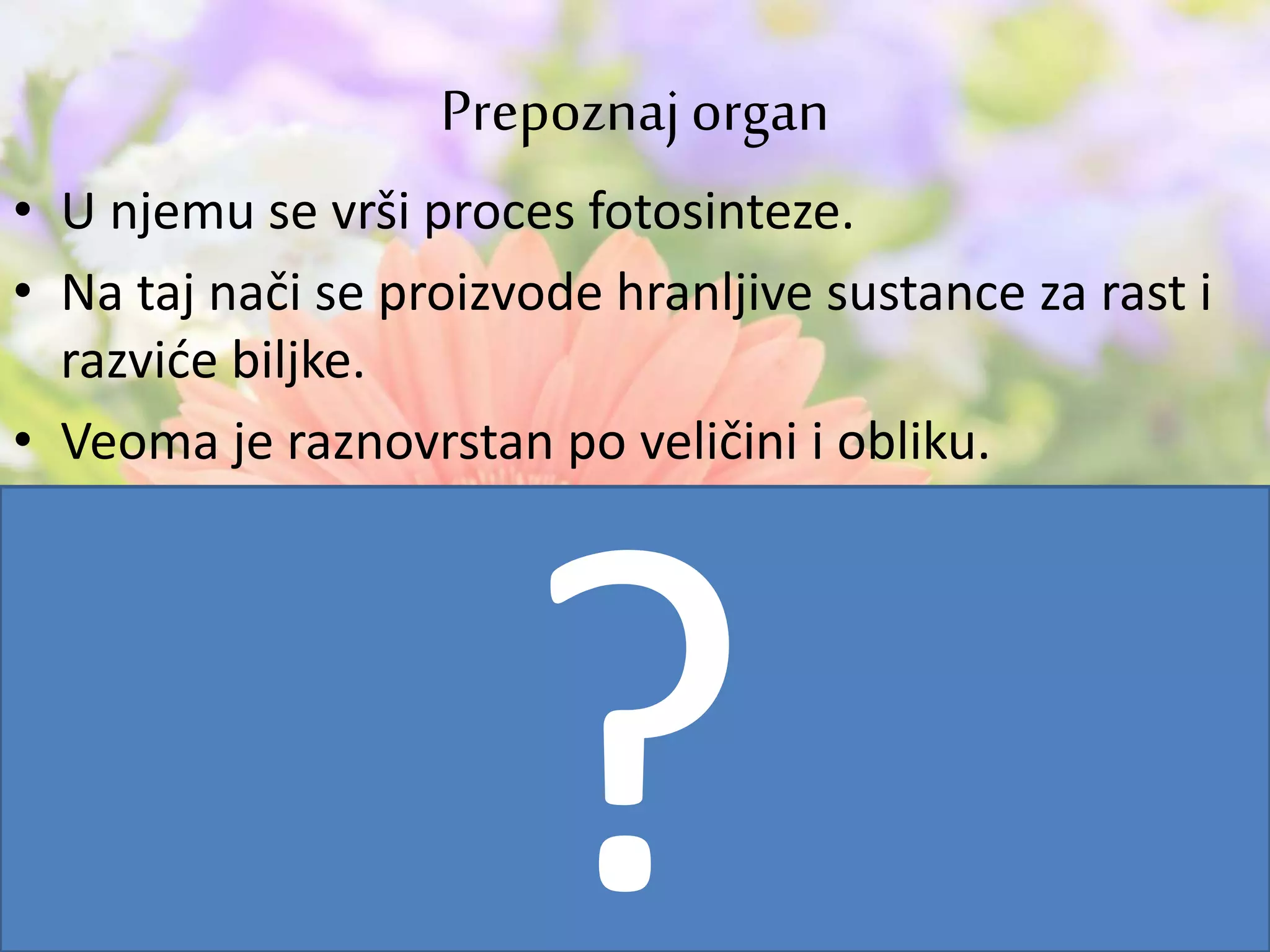 Gradja biljaka | PPTX