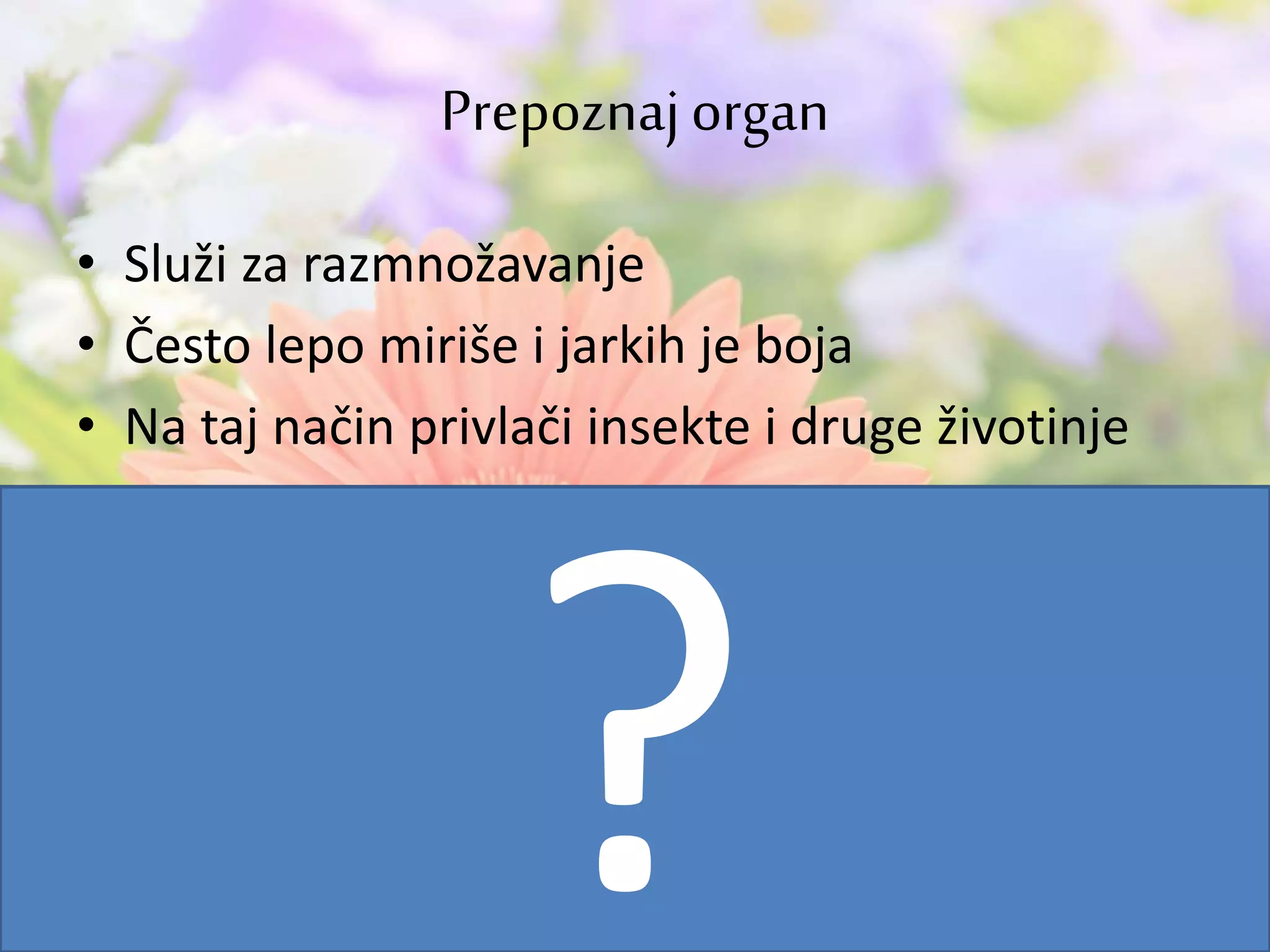 Gradja biljaka | PPTX