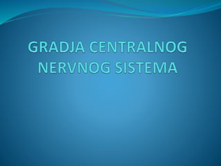 Gradja centralnog nervnog sistema | PPSX