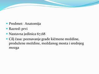 Gradja centralnog nervnog sistema | PPSX