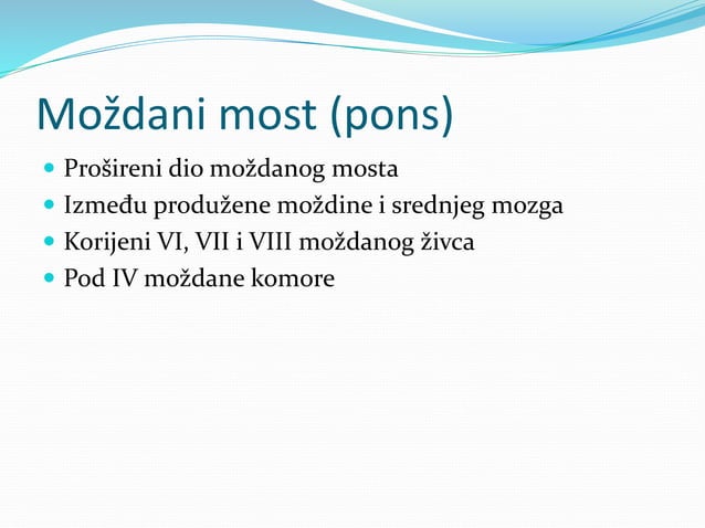 Gradja centralnog nervnog sistema | PPSX