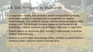 Gradja čoveka | PPTX