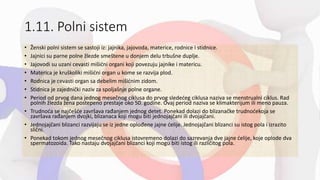 Gradja čoveka | PPTX