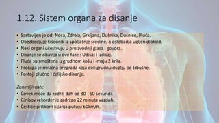 Gradja čoveka | PPTX