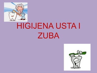 Gradja i vrste zuba | PPTX