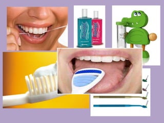 Gradja i vrste zuba | PPTX