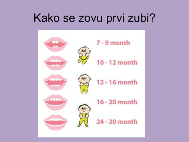 Gradja i vrste zuba | PPTX