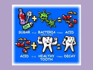 Gradja i vrste zuba | PPTX