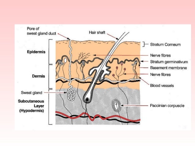 Gradja Koze Serije Spavaćih Soba » Potpuna Rješenja XXXLesnina.hr