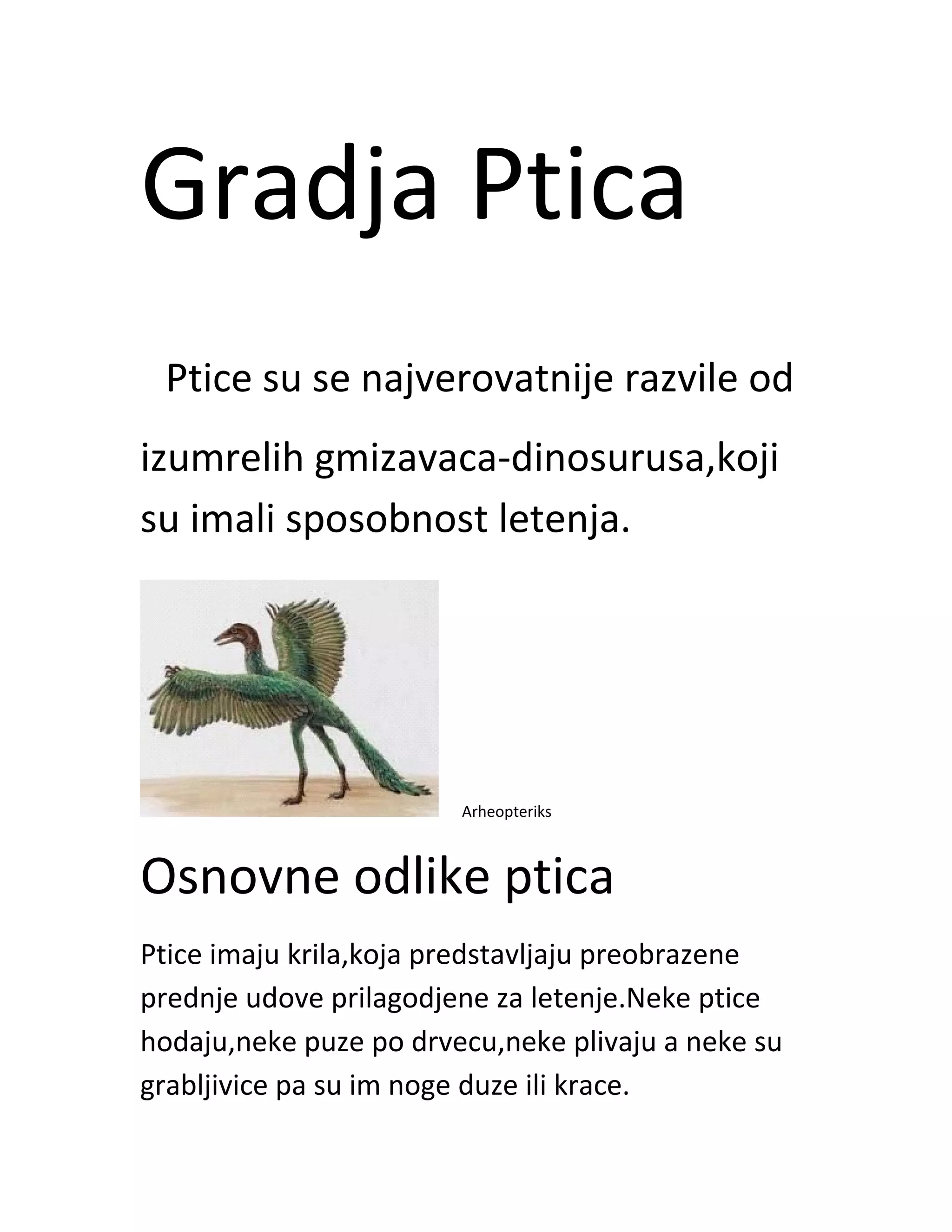 Gradja ptica (p) | RTF