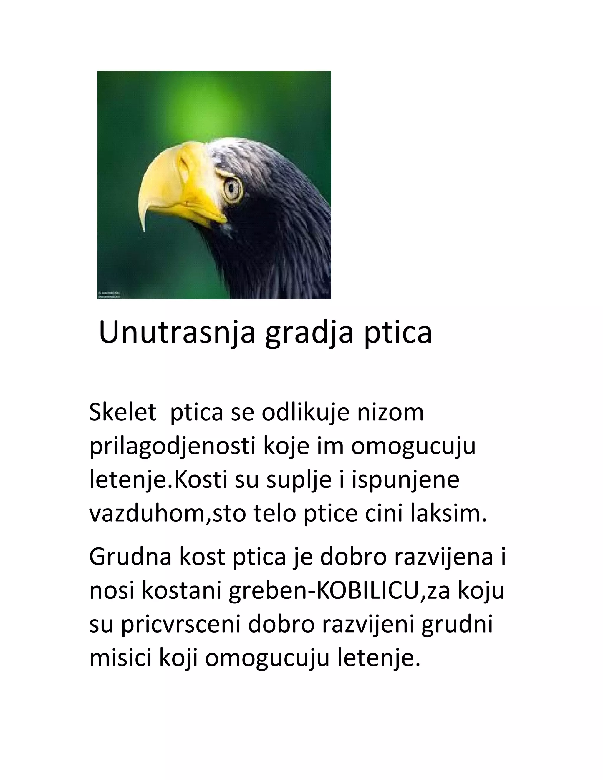 Gradja ptica (p) | RTF