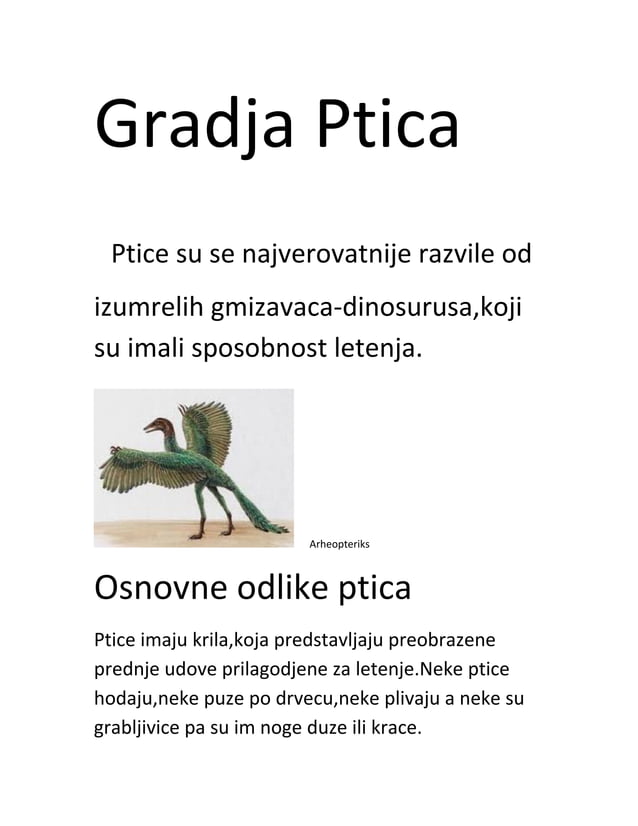 Gradja ptica (p) | RTF