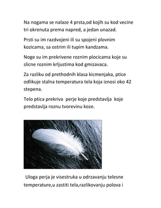 Gradja ptica (p) | RTF
