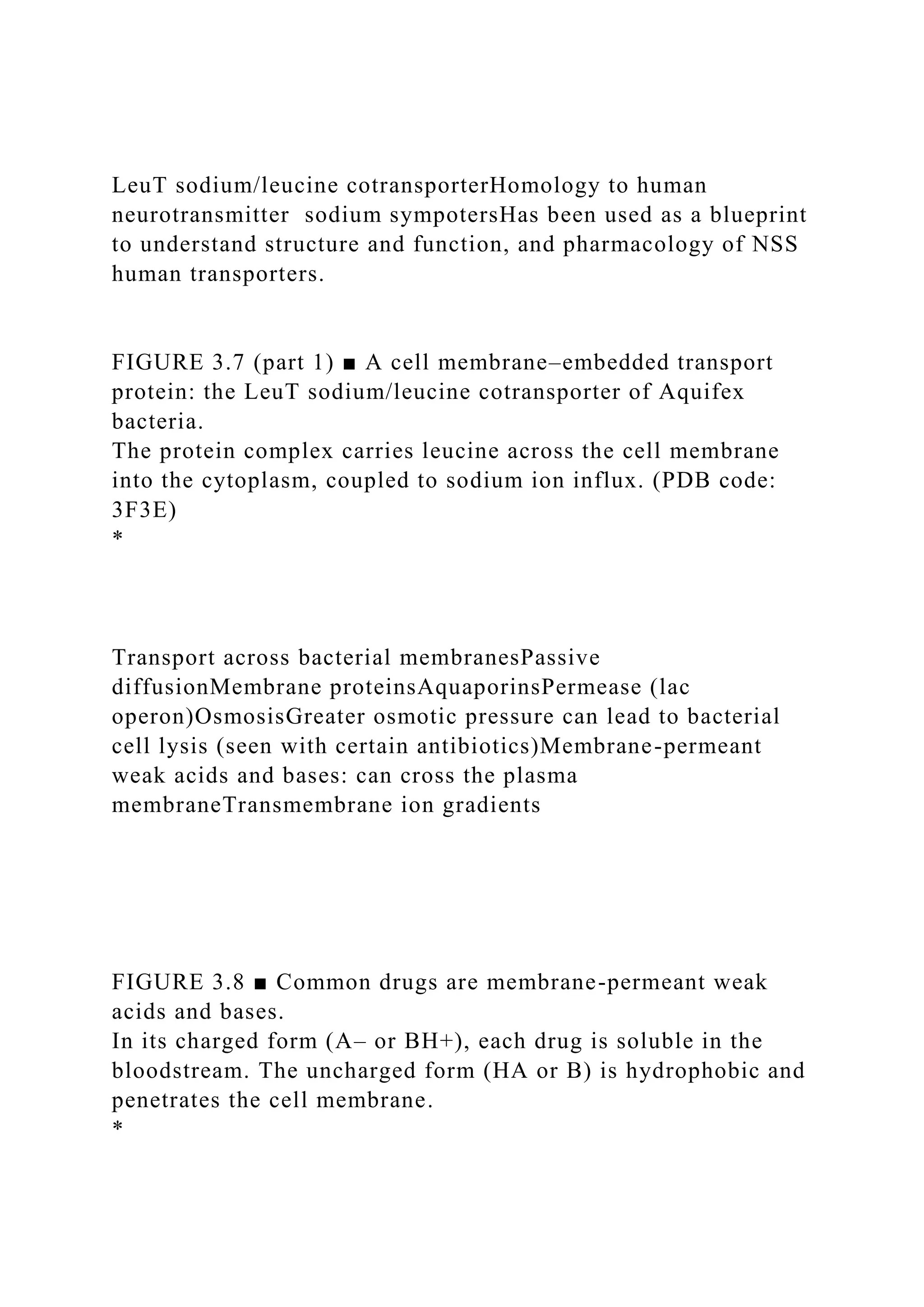 Graduate 500-600 CoursesFull Rubric for Classroom Publication.docx