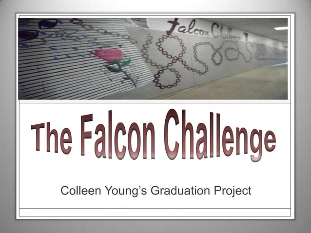 Graduation project | PPT