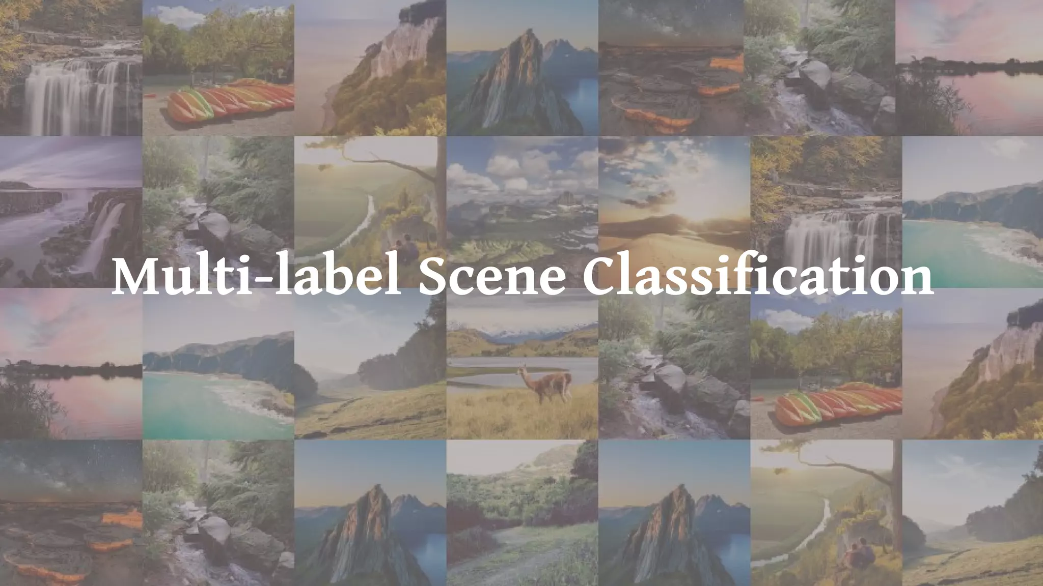 Graduation Project Based On Multi Label Learning Ppt