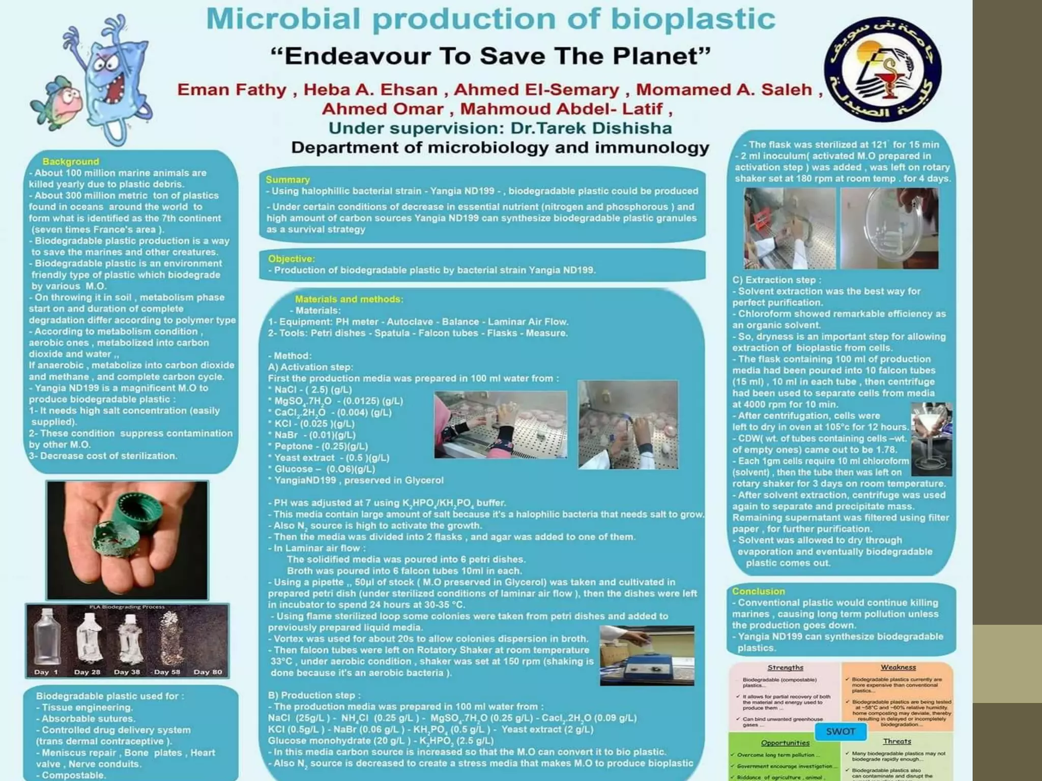 Biodegradable plastic- Graduation project. | PPT