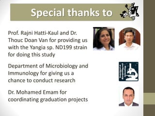 Biodegradable plastic- Graduation project. | PDF