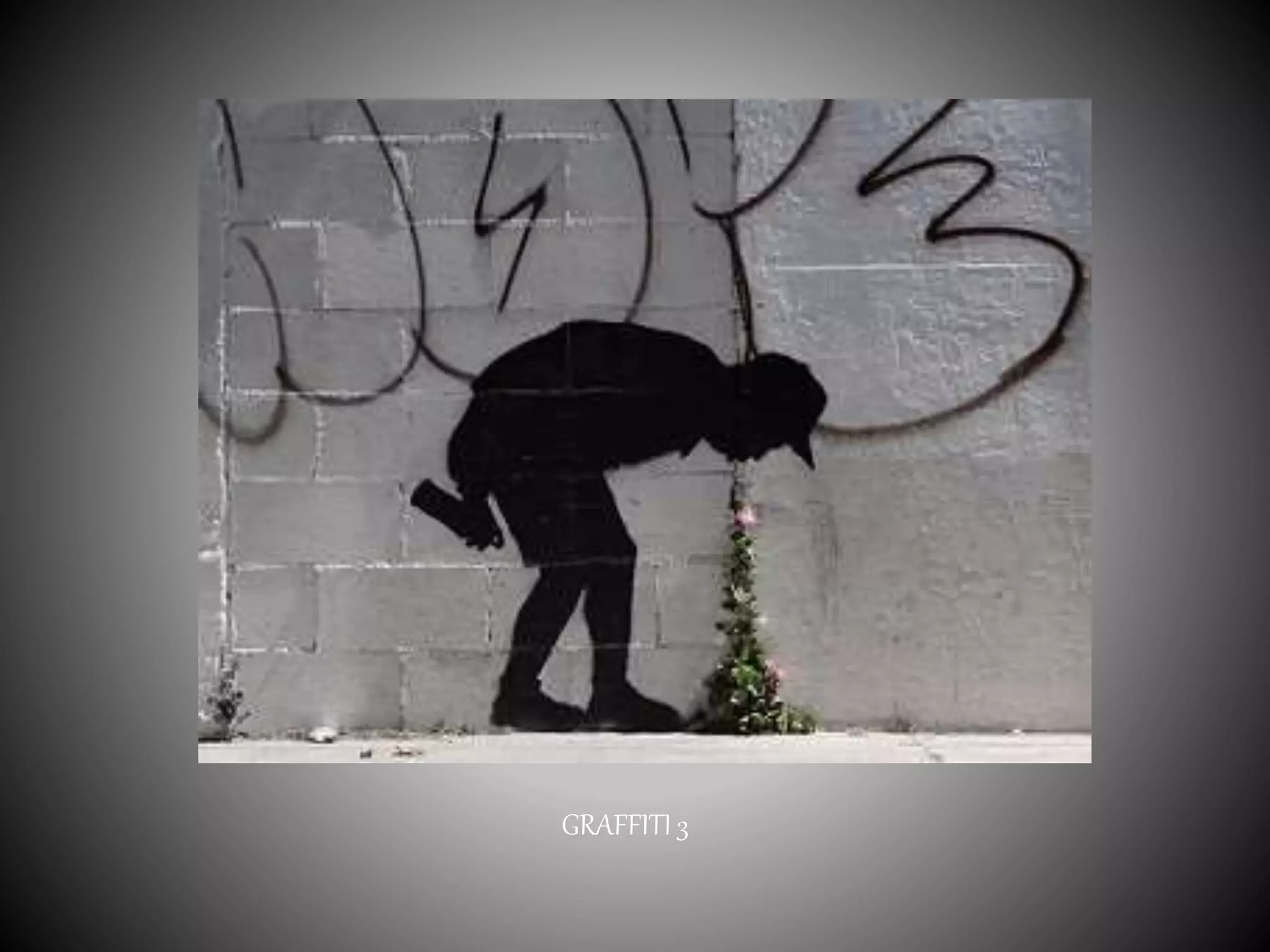 Graffiti: art or vandalism? | PPTX
