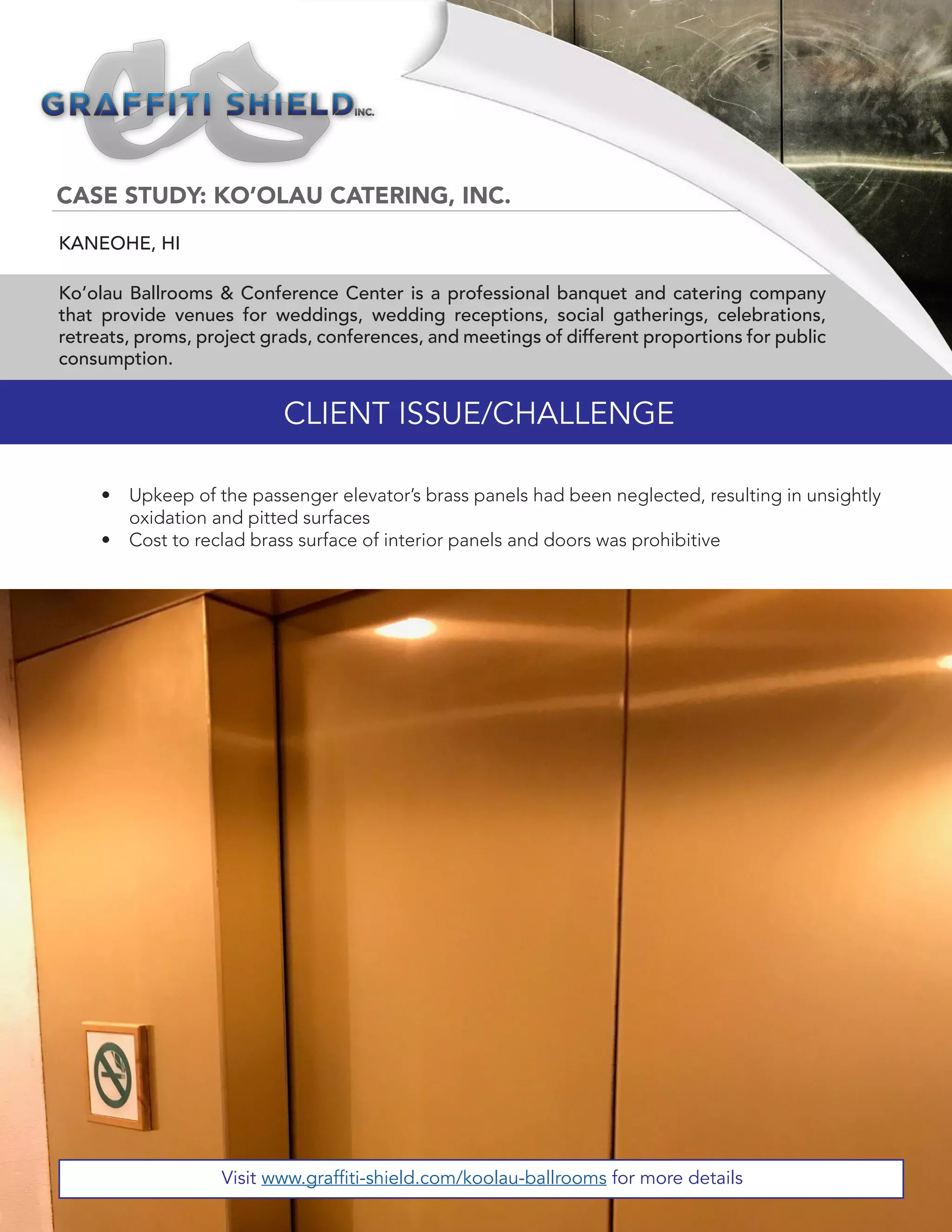 Graffiti Shield Case Study for Dallas Properties | PDF