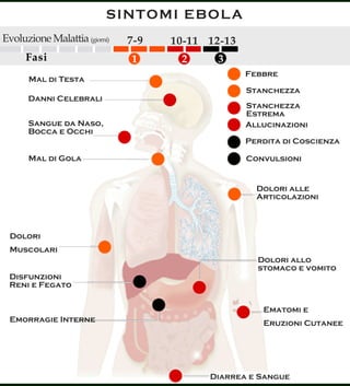 EBOLA: COME RICONOSCERE I SINTOMI DEL VIRUS? | PDF