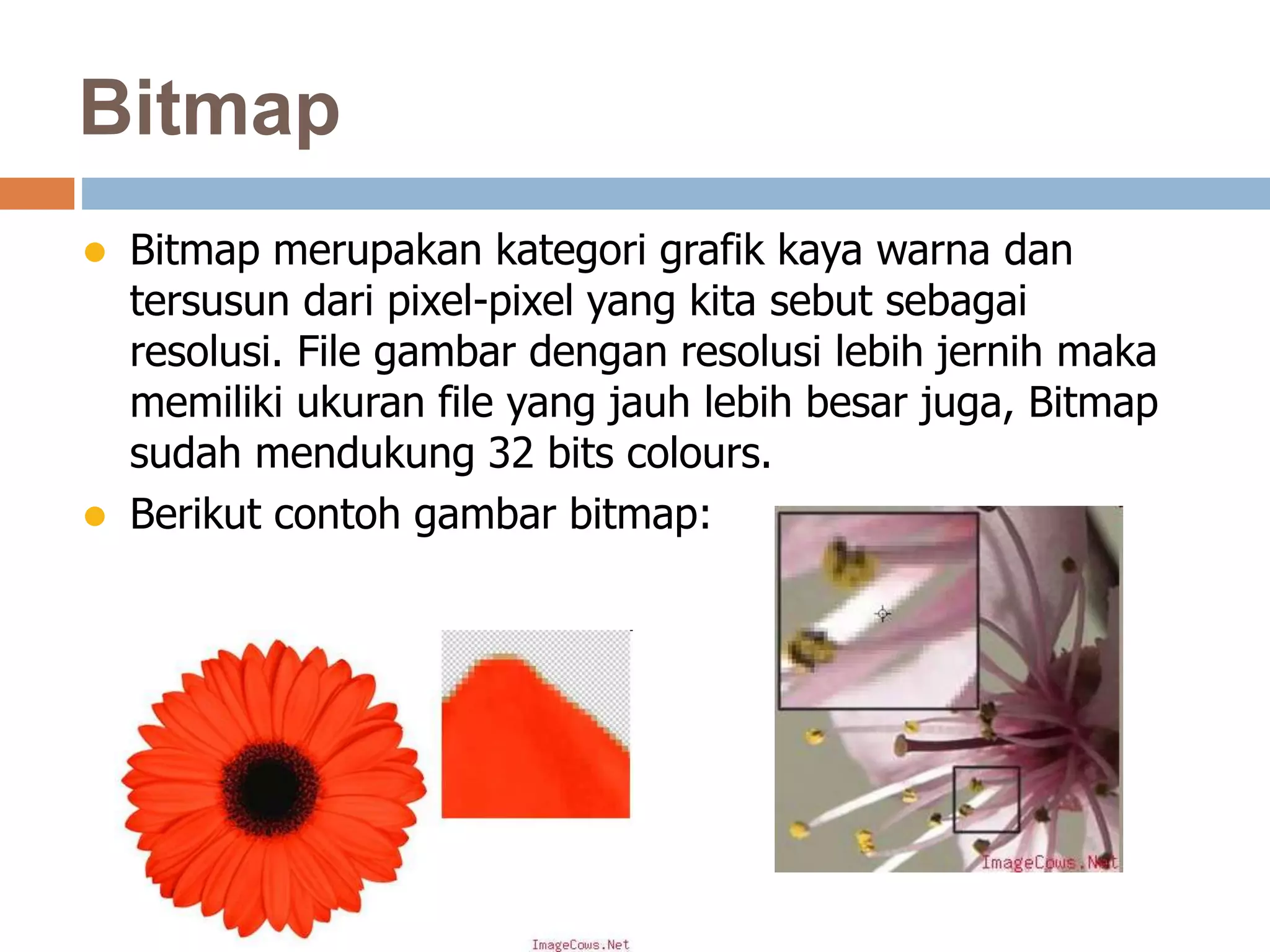 grafis-berbasis-vektor-dan-berbasis-bitmap.ppt