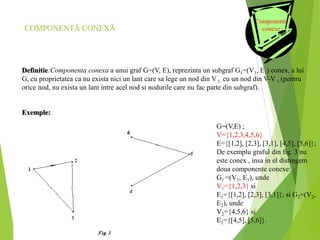 graf_neorientat_conexitate (1).ppt