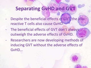 Graft versus Tumour effect | PPTX | Blood Disorders | Diseases and ...
