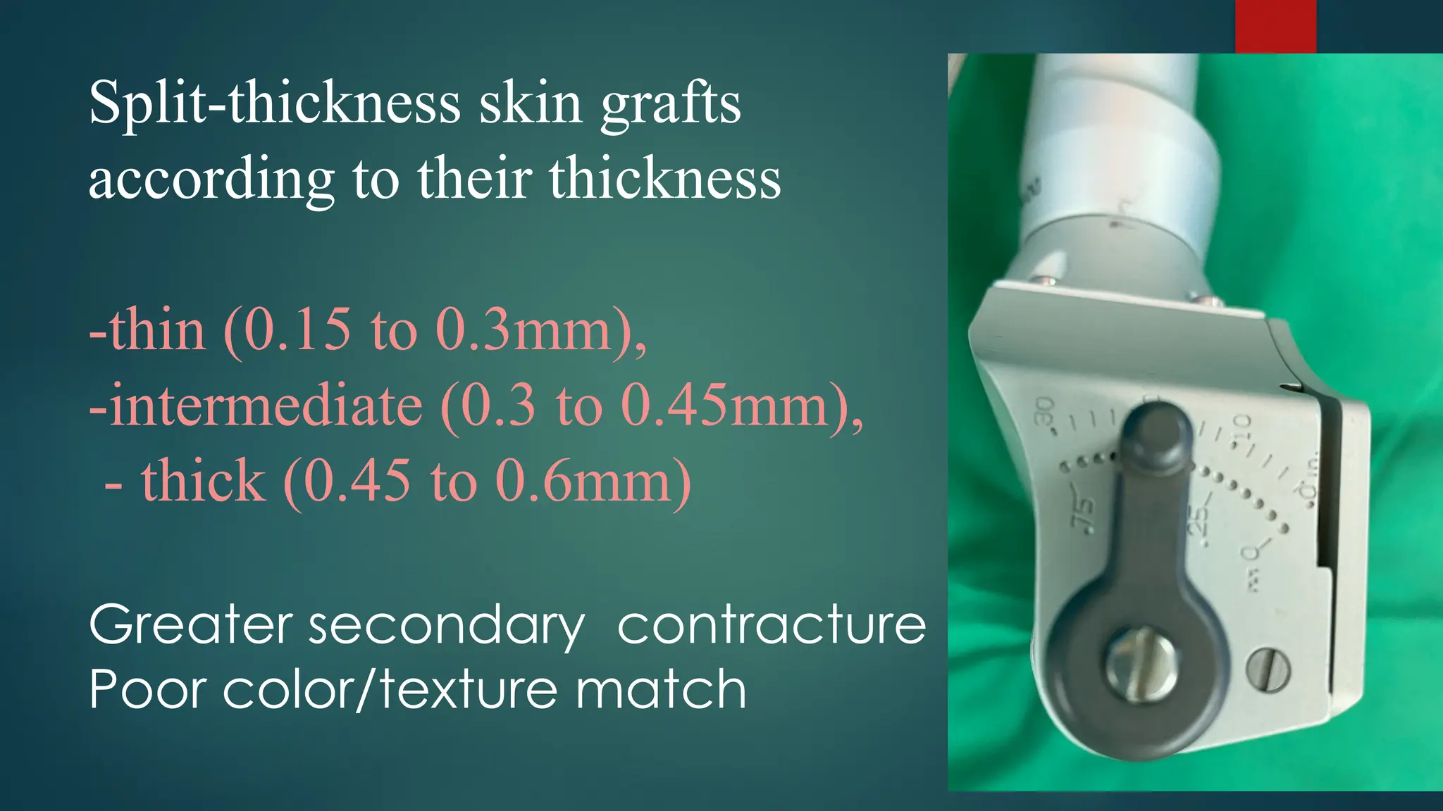Skin-Fat Composite Grafts for Reconstructing Large Full-Thickness Skin ...