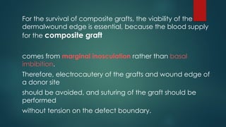 Skin-Fat Composite Grafts for Reconstructing Large Full-Thickness Skin ...