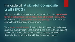 Skin-Fat Composite Grafts for Reconstructing Large Full-Thickness Skin ...